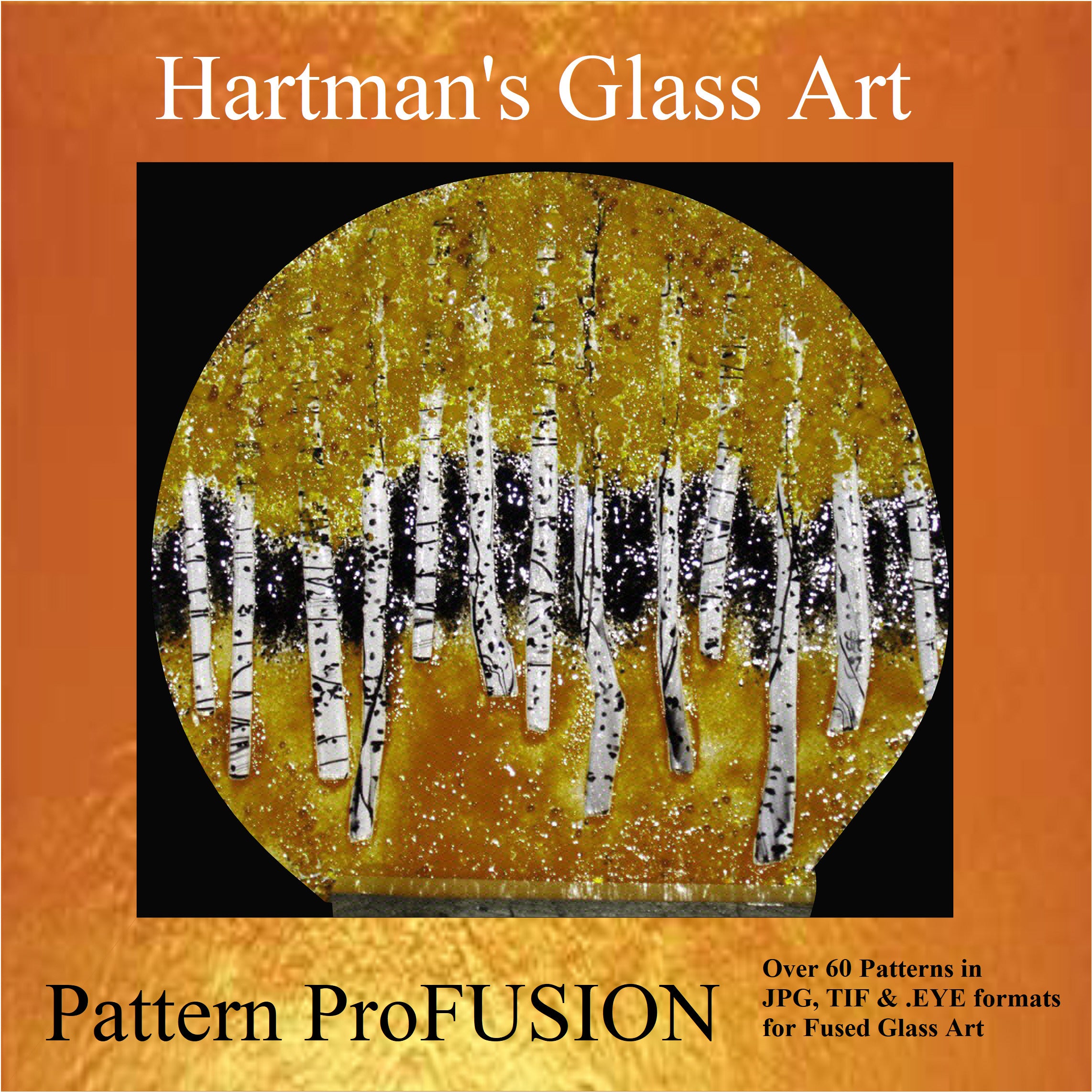 Fused Glass Patterns, Full Size on CD – Paned Expressions Stained Glass